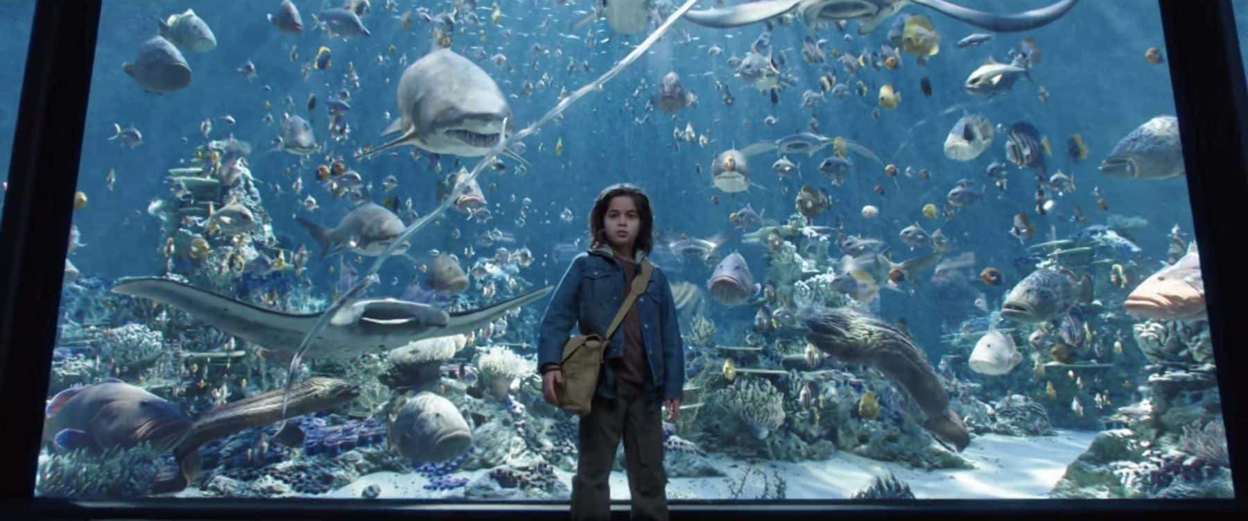 Revelado lo que sucede en tres escenas de Aquaman - Cine3.com