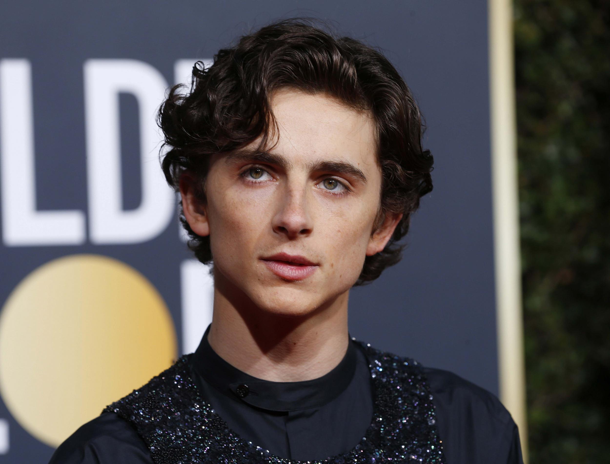 ¿Y si Timothée Chalamet es el nuevo Robin en The Batman? - Cine3.com