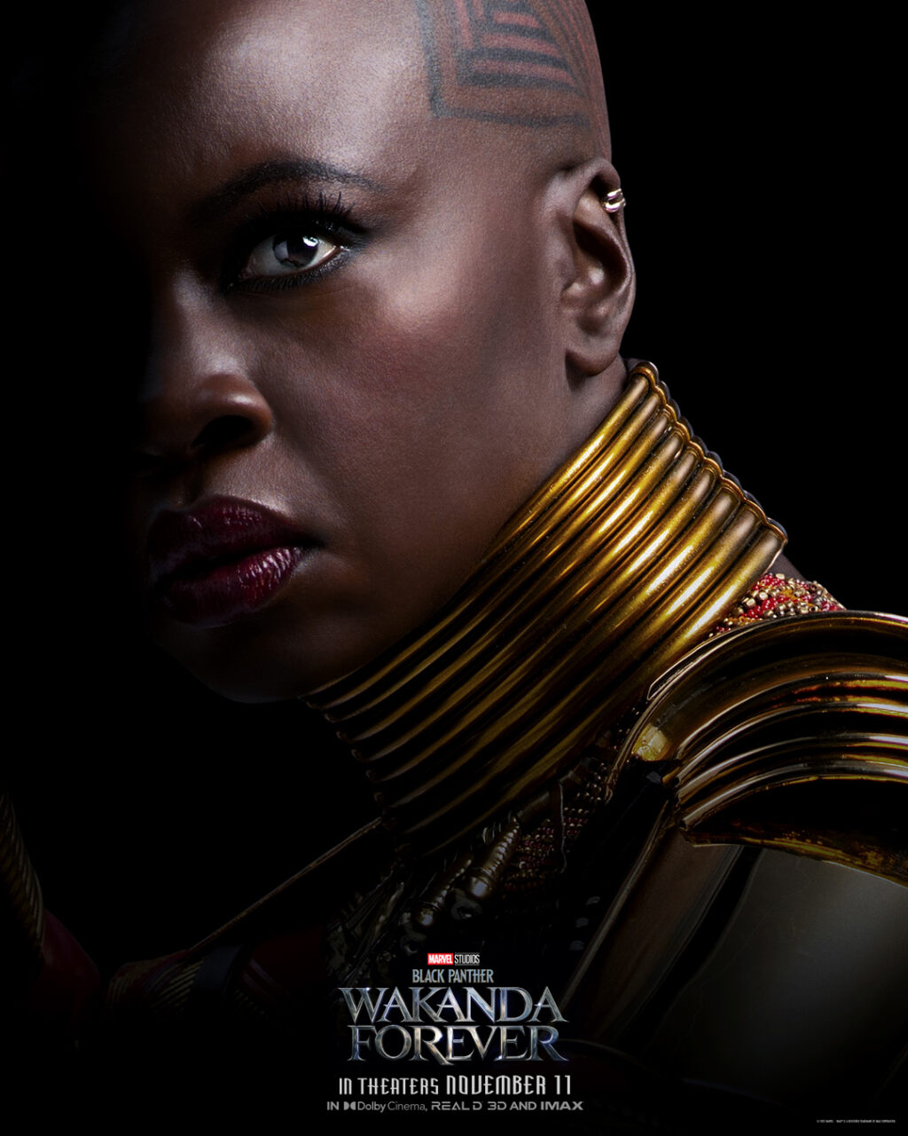 ‘Black Panther: Wakanda Forever’ presenta character posters - Cine3.com