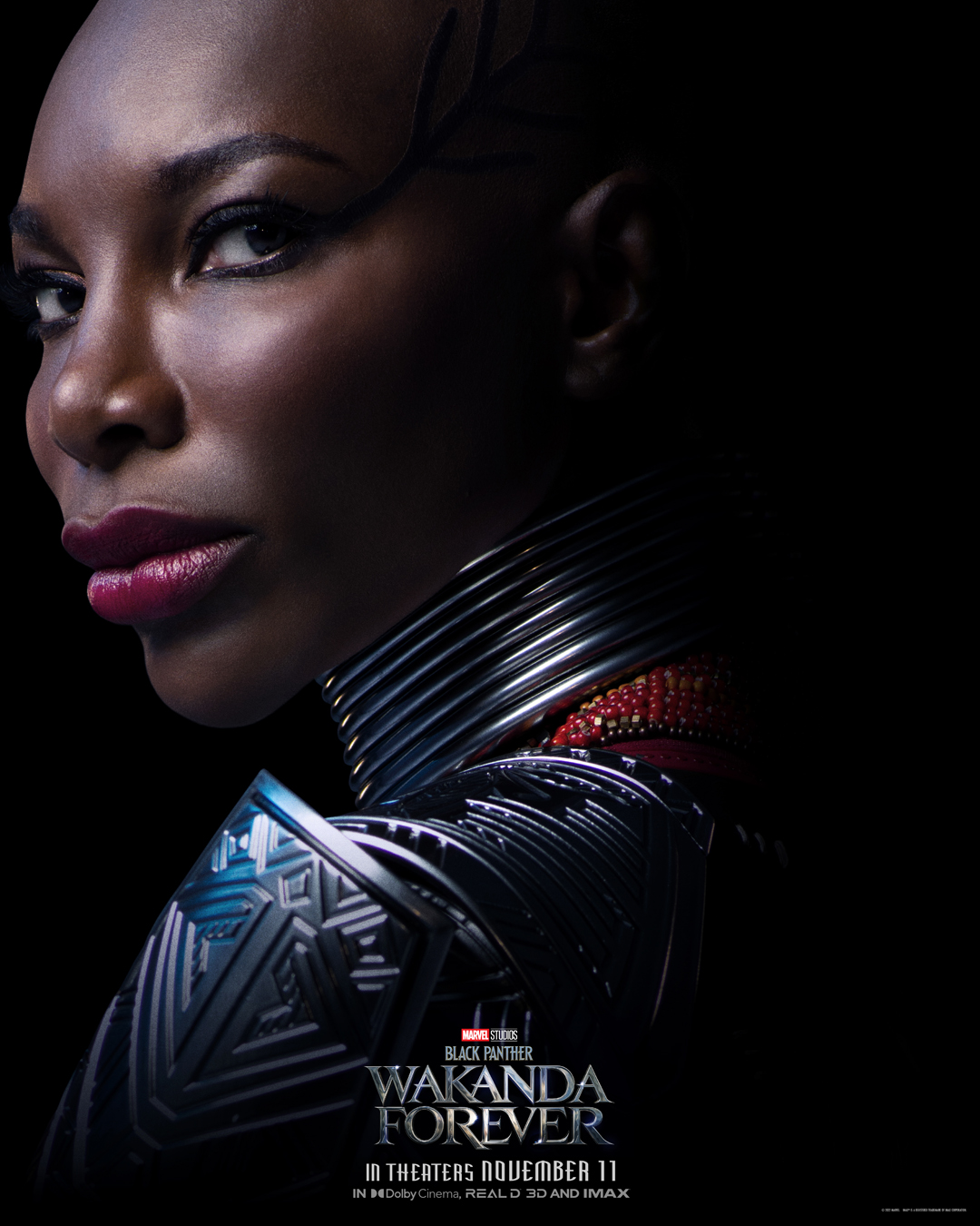 ‘Black Panther: Wakanda Forever’ presenta character posters - Cine3.com