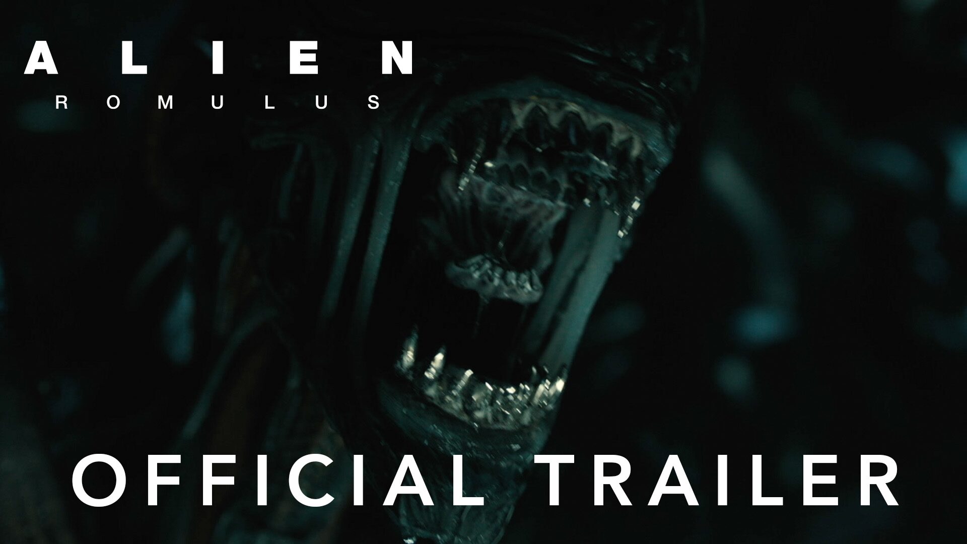 En el espacio nadie puede oírte… ‘Alien: Romulus’ revela tráiler ...